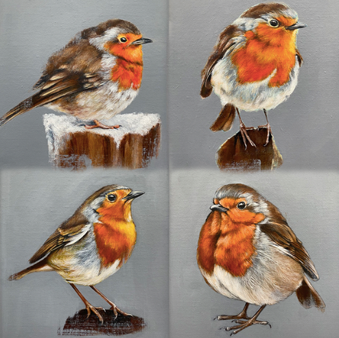 Robin Prints – Steven Farrell Art and Design